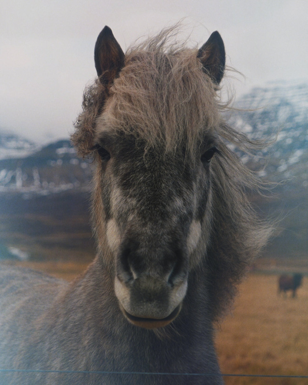 AURORA – humanvideoco