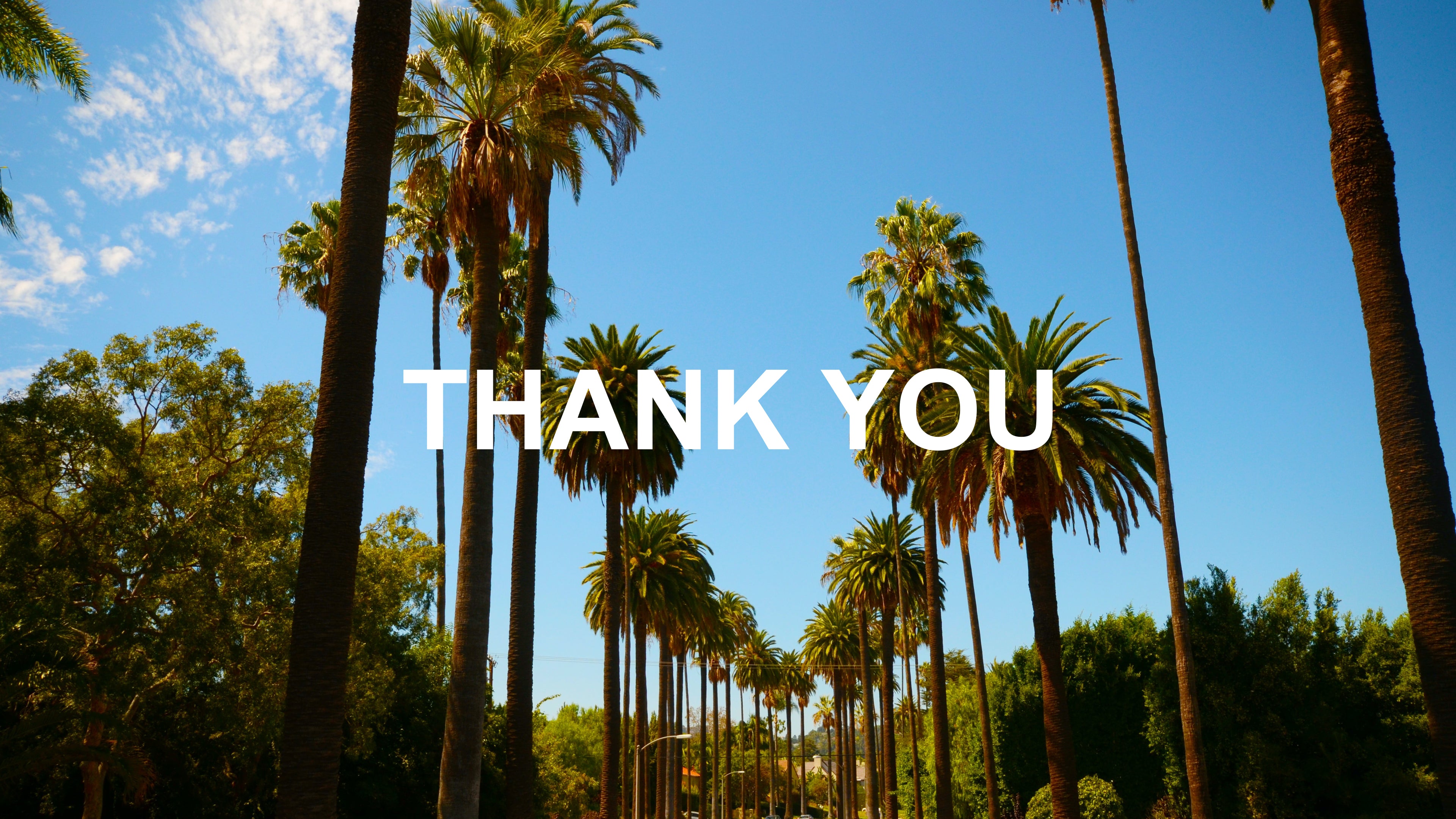 NOSTALGIA 2 – humanvideoco