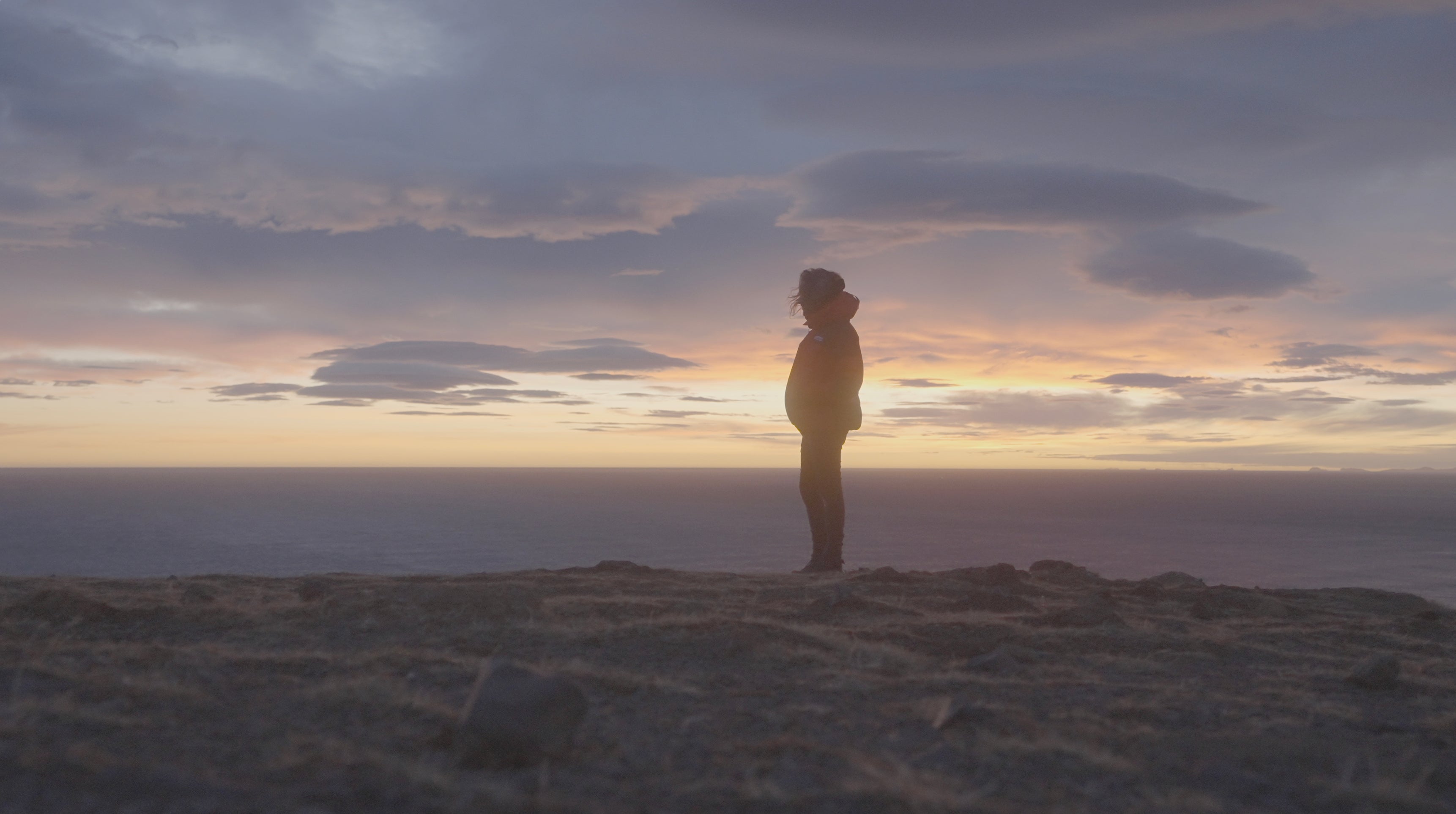 CINELUTS LEGACY – humanvideoco